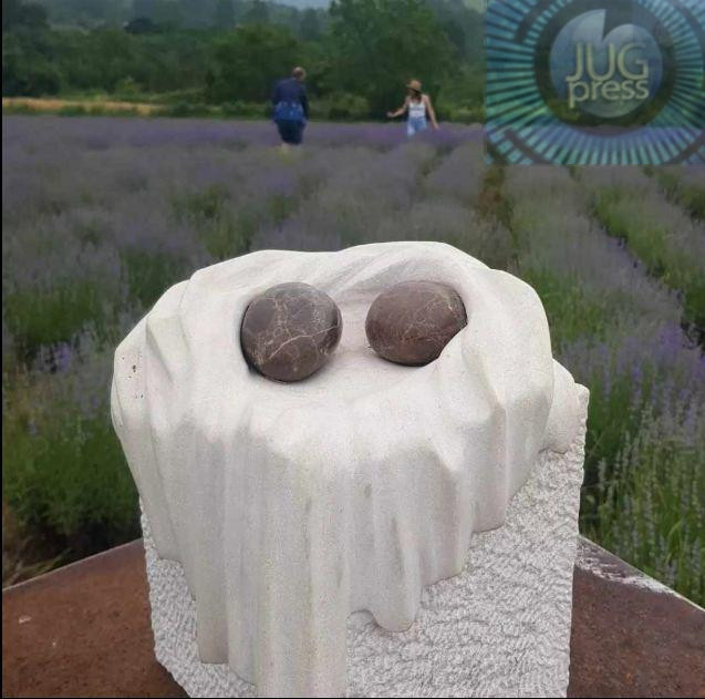 Lavanda i kamen, jedinstvena postavka u Tamnjanici - JUGPRESS